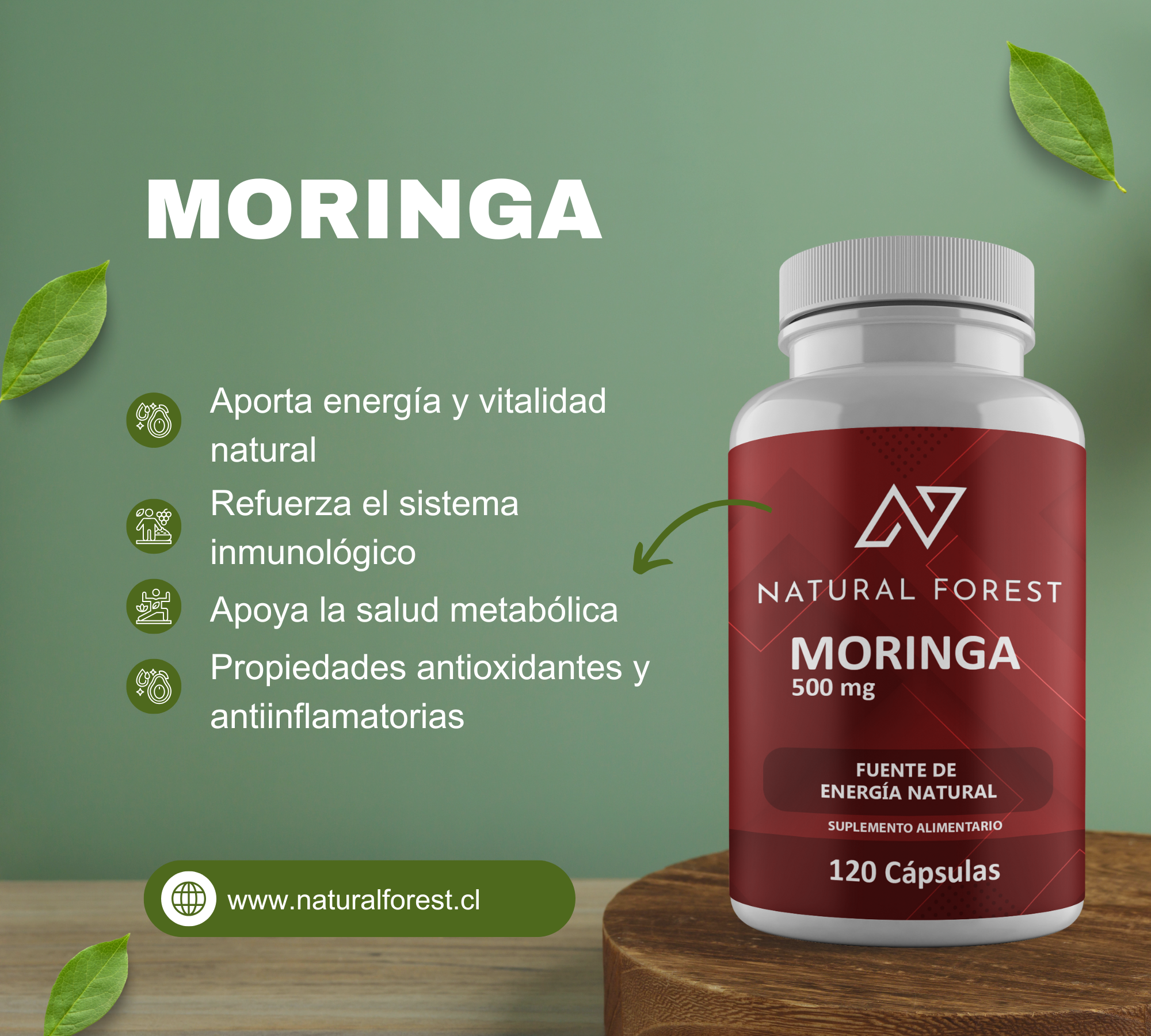Moringa 120 Cápsulas 500mg – Natural Forest
